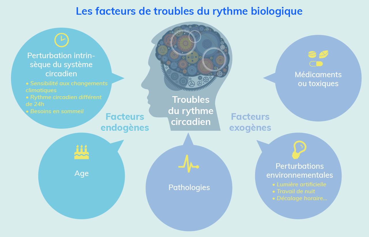 Eveil et sommeil étudiés par la chronobiologie | Penser Santé