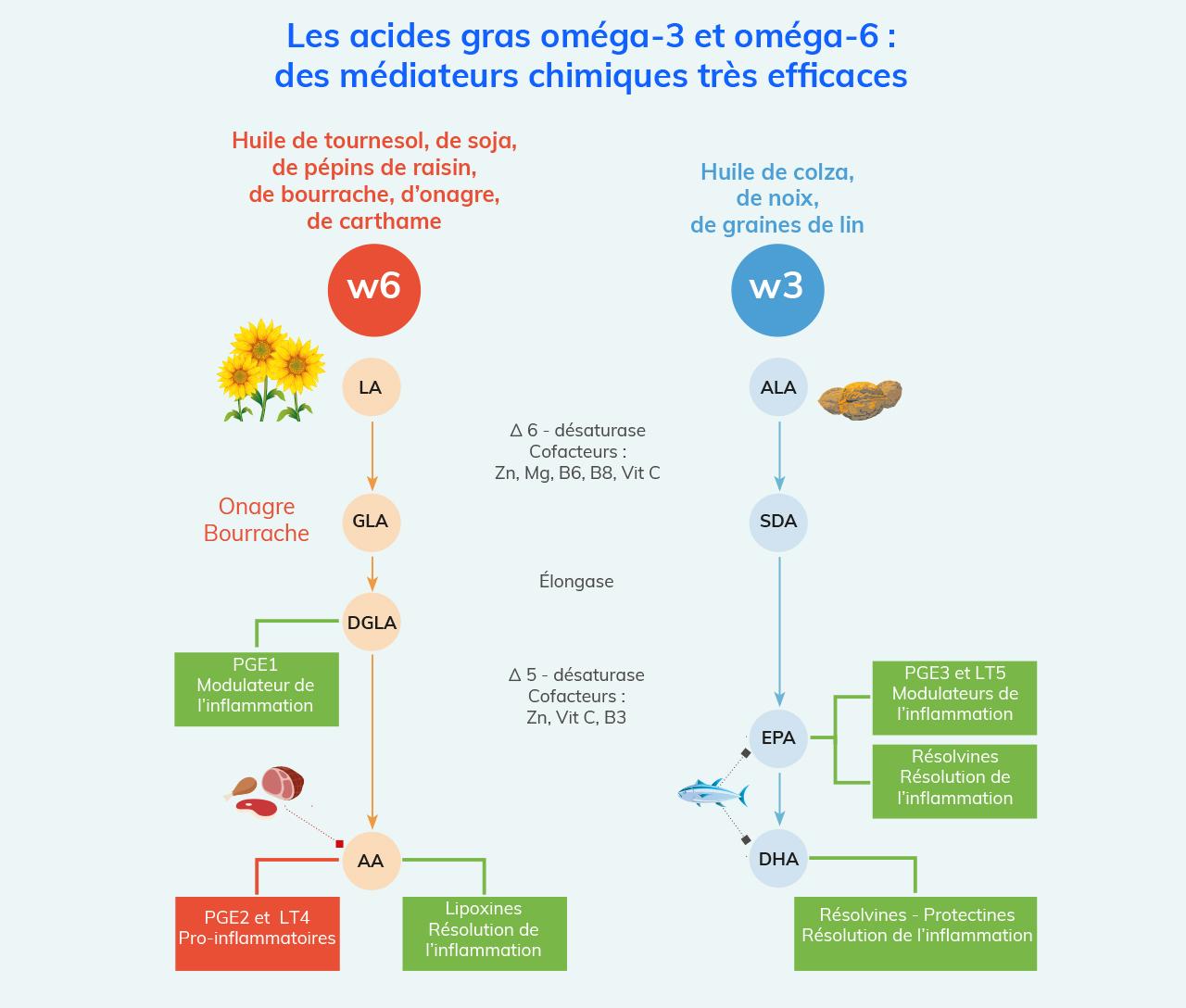 Acides gras et inflammation - Penser Santé | Penser Santé